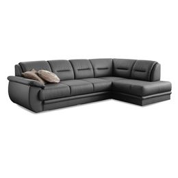 Sit & More Ecksofa SIT & MORE, B:250cm H:85cm T:164cm, grau, Luxus-Kunstleder;Kunstleder Softlux;NaturLEDER (echtes Rindleder)/Korpus passendes Kunstleder