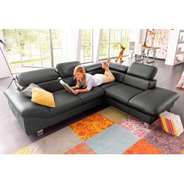Ecksofa COTTA, B:268cm H:73cm T:214cm, schwarz, Kunstleder SOFTLUX;LEDER BEEFY (ein abgedecktes Spalt-Rindsleder) im Sitz und R&uuml;cken (Korpus in
