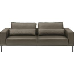 3-Sitzer Musterring, B:222cm H:88cm T:107cm, braun, 100% Leder, Sofas, "JustBPM100, 222 cm breit, aus hochwertigem Leder", wahlweise mit Nierenkissen