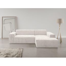 Ecksofa WERK2, B:253cm H:70cm T:188cm, beige, 100% Polyester, Wohnzimmer, Sofas, "Zeus-L 253 cm breit, bequemes Cord-Sofa in L-Form, urbanes Design",