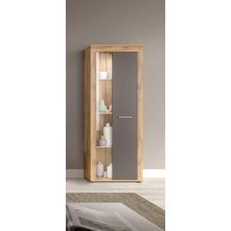 Vitrine OTTO HOME, B:60cm H:159cm T:35cm, grau, Wohnzimmer, Schr&auml;nke, "AOSTA, H&ouml;he 159 cm, 1 T&uuml;r (li/re), 2 Glasb&ouml;den, 4 F&auml;cher", Standvitrine,