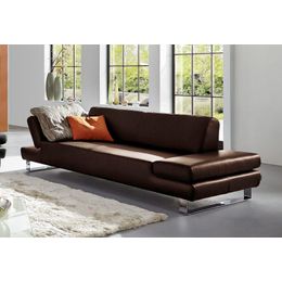3-Sitzer W.Schillig, B:232cm H:76cm T:91cm, braun, Flachgewebe S22 (100% Polyester);Stoff S37 (100% Polyester): Luxus-Microfaser in