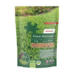 toom Rasennachsaat 'Power' 1 kg f&uuml;r ca. 75 m&sup2;