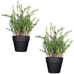 Kunstpflanze Creativ green, H:24cm, gr&uuml;n, Kunststoff, Badezimmer, Kunstpflanzen, "Zitronenthymian", im 2er Set