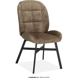 Esszimmerstuhl OMG DESIGN, B:51cm H:94cm T:62cm, braun, Polyester, St&uuml;hle, "Canberra", Esszimmerstuhl, pflegeleichter Samtvelour Bezug