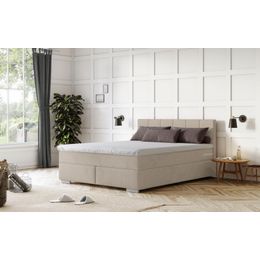 Boxspringbett COTTA, L:209cm, grau, Polyester, Komplettbetten, "Simba erh&auml;ltlich in verschiedenen Breiten, Farben und H&auml;rtegraden", Bezugsstoff: