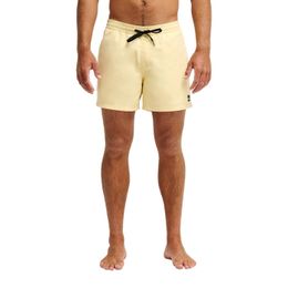 Quiksilver Herren Boardshorts "Everyday Solid Volley 15"", beige, Gr. L, Obermaterial: 100% Polyester;, Hosen