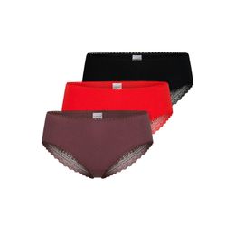 Schiesser Damen Slip "Slip 3er Pack", Gr. XL, bunt, Obermaterial: 95% Baumwolle CO. 5% Elasthan EL., Unterhosen