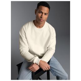 TRIGEMA Herren Sweatshirt "TRIGEMA Sweatshirt mit angerauter Innenseite", wei&szlig;, Basic, Gr. XXL, Sweatware, 70% Baumwolle, 30% Polyester, Sweatshirts