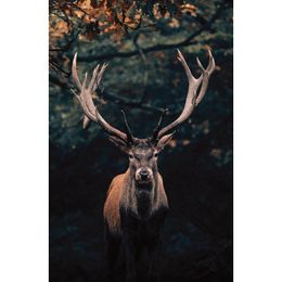 Leinwandbild &raquo;Wandbild HIRSCH IM WALD 78x118 cm &ndash; Leinwandbild Keilrahmen Deko&laquo; Hirsch 1 Stk. tlg. auf Keilrahmen gespannt bunt Canvas, MDF B/H/T: 