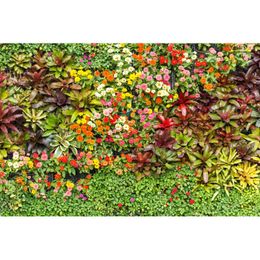 papermoon Fototapete &raquo;BLUMEN-ABSTRAKT MUSTER GARTEN PFLANZEN DEKOR NATUR&laquo; bunt Vlies B/L: 2,5m x 1,86m, Bahnen: 5 Stk.