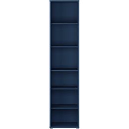 FORTE Mehrzweckregal &raquo;Alice Springs&laquo; diverse H&ouml;hen, Breiten, Dekore, Einlegeb&ouml;den variabel blau Holzwerkstoff B/H/T: 49,8cm x 214,3cm x 34,9cm, 6 Stk.