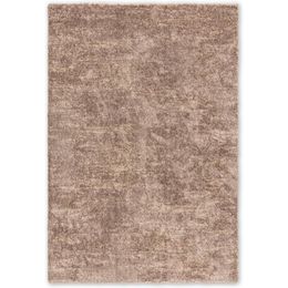 Astra Teppich &raquo;Salerno 250&laquo; rechteckig 30 mm H&ouml;he dichter Indoor Teppich, Designed in Germany, Oeko-Tex Polyester B : 160cm 1 Stk., 30mm, L: 230cm