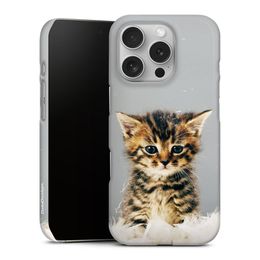 DeinDesign iPhone 16 Pro Handy Premium Case Smartphone Handyh&uuml;lle Schutzh&uuml;lle gl&auml;nzend Cat Pet Feather Premium Case