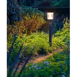 Bega 85535K27 Spark Line Garten- und Wegeleuchte