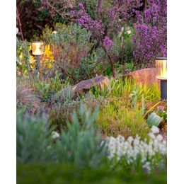 Bega 85540K27 Spark Line Garten- und Wegeleuchte