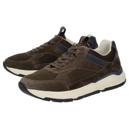 Sioux Herren Sneaker "Rogerlino-700-H", Gr. 42, braun, Obermaterial: 80% Kalbsveloursleder CAVL. 20% Textilmaterial TEXMAT. 100% Gummi rubber., Schuhe