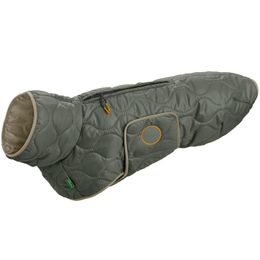 Hunter Hundemantel Lundby Dachshund oliv / 33