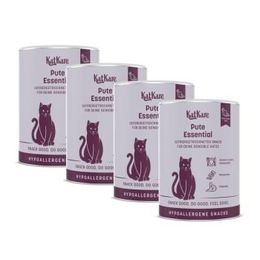KatKare Hypo Pute Essential 4x90 g