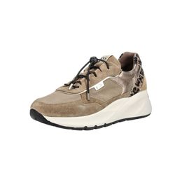 Nero Giardini Sneaker in Beige | Gr.: 39