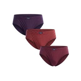 Abanderado 3er-Set: Slip in Bordeaux | Gr.: XXL