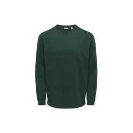 Only & Sons Only&Sons Langarmshirt in pine grove | Gr.: S