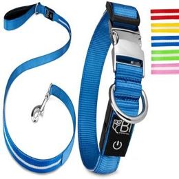 Petsation Leuchthalsband + Leine blau M