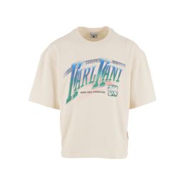Karl Kani Herren T-Shirt "Karl Kani Sport Gradient Boxy T-Shirt", beige, Gr. XL, bedruckt, 100% Baumwolle, Shirts