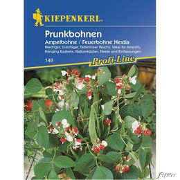 Kiepenkerl Buschbohne 'Hestia' - Prunkbohne, Feuerbohne Lieferform: Portionssaatgut