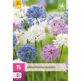 Allium-Mix 'Buzzing Beauties ' - 15 St&uuml;ck Liefergr&ouml;&szlig;e: Zwiebelgr&ouml;&szlig;e 6+