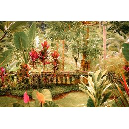 papermoon Fototapete "Fantasie tropischer Garten", B/L: 2m x 1,49m, Bahnen: 4 Stk., bunt, Schlafzimmer, Tapeten
