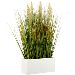 I.GE.A. Kunstgras &raquo;Gras&laquo; in Keramikschale beige Kunststoff B/H/L: 23cm x 45cm, 1 Stk.