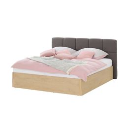 M&ouml;bel Kraft Polsterbett mit Bettkasten grau Ma&szlig;e (cm): B: 205 H: 106 &raquo; M&ouml;bel Kraft