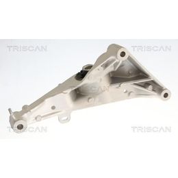 TRISCAN Lagerung, Motor 850581104 f&uuml;r Tesla