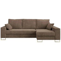 M&ouml;bel Kraft Ecksofa mit Schlaffunktion Dorain braun Ma&szlig;e (cm): B: 242 H: 85 &raquo; M&ouml;bel Kraft