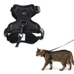 LucyBalu EXPLORER Katzengeschirr schwarz M