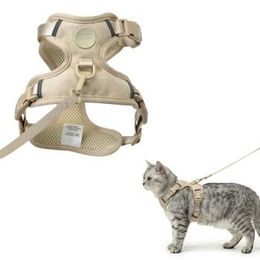 LucyBalu EXPLORER Katzengeschirr sand S