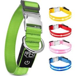 Petsation Leuchthalsband Hundehalsband gr&uuml;n M