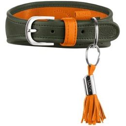 Hunter Windhundhalsband portofino oliv S