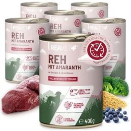 REAVET Hundenassfutter &ndash; Reh mit Amaranth an Brokkoli & Heidelbeere 6x400 g