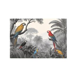 WALLARENA Fototapete Papageien in Grau | Gr.: 200 x 140 cm