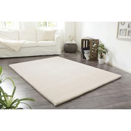 Wollteppich OTTO HOME, B:70cm H:28mm L:140cm, beige, Wolle, Wohnzimmer, Teppiche, "Punam, handgekn&uuml;pft", echter Berber aus Marokko, einfarbig, reine