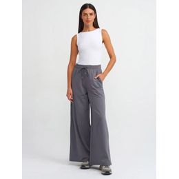Dilvin Hose 'Hose' Damen Gr&ouml;&szlig;e 36 dunkelgrau