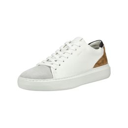 Geox Sneakers male size 42 Brown / Light grey / White