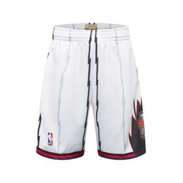 Mitchell & Ness Pants 'Toronto Raptors - Swingman' male size 34 Blue / Red / Black / White