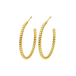 Steelwear Creolen 'Barcelona' Damen Gr&ouml;&szlig;e One Size gold