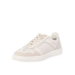 Baldinini Sneakers female size 42 Cream