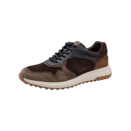 Tamaris Sneaker Herren Gr&ouml;&szlig;e 43 braun / dunkelbraun