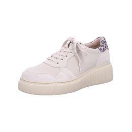 Paul Green Schn&uuml;rschuh '5401 017' Damen Gr&ouml;&szlig;e 38 beige Sommerschuhe
