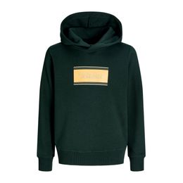 Jack & Jones Jack & Jones Junior Sweatshirt 'JJBuster' Jungen Gr&ouml;&szlig;e 128 gelb / dunkelgr&uuml;n